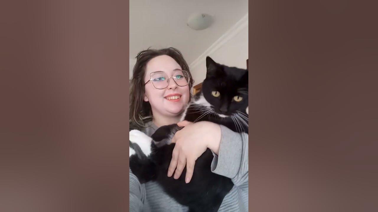 Cats Enjoy Wholesome Catnip Tea Party! - YouTube