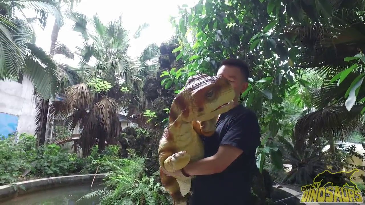 Realistic Baby Dinosaur Brontosaurus Puppet - YouTube