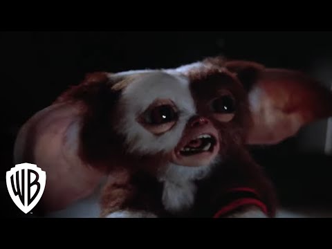 Gremlins 2: The New Batch | Gremlins Multiply | Warner Bros. Entertainment