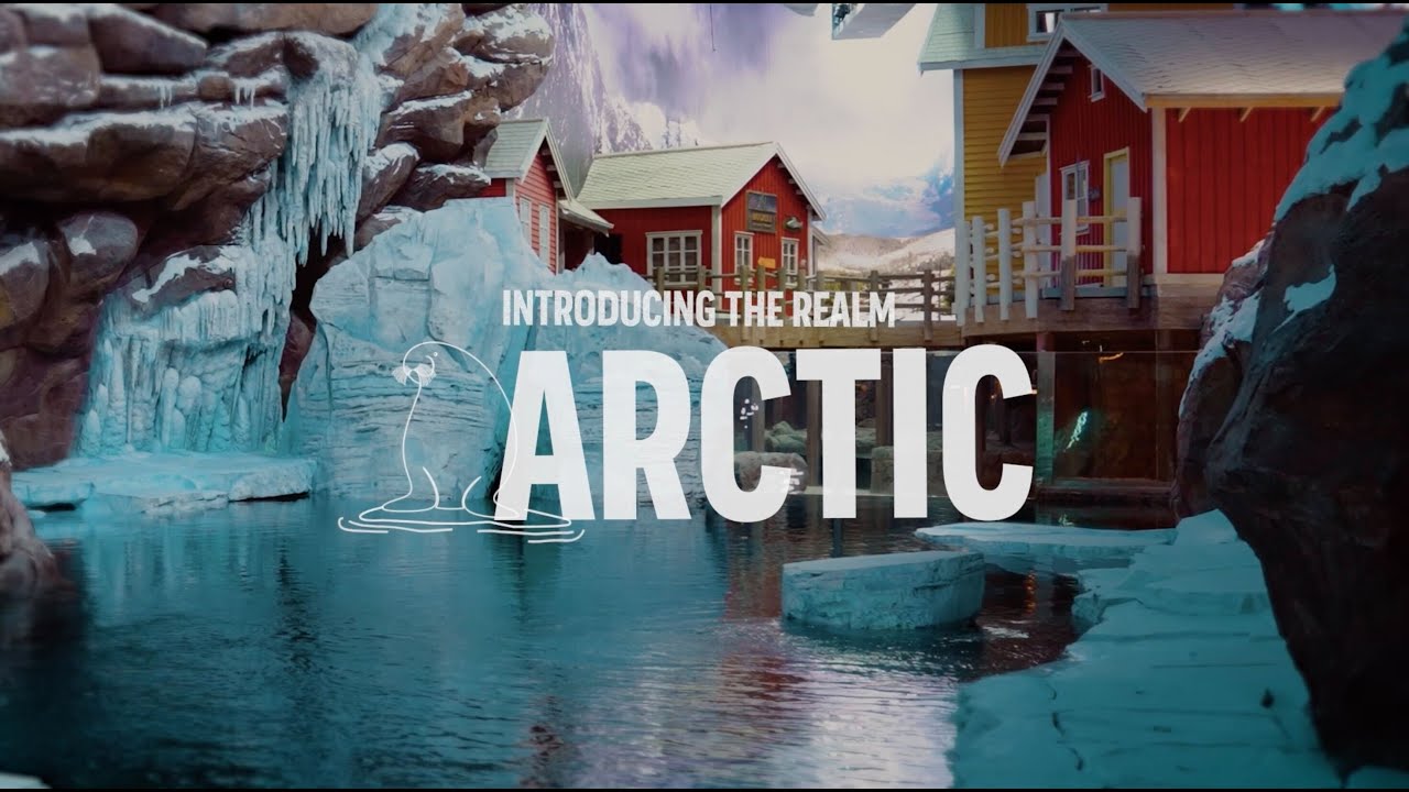 Polar Ocean - The Arctic realm at SeaWorld Abu Dhabi - YouTube