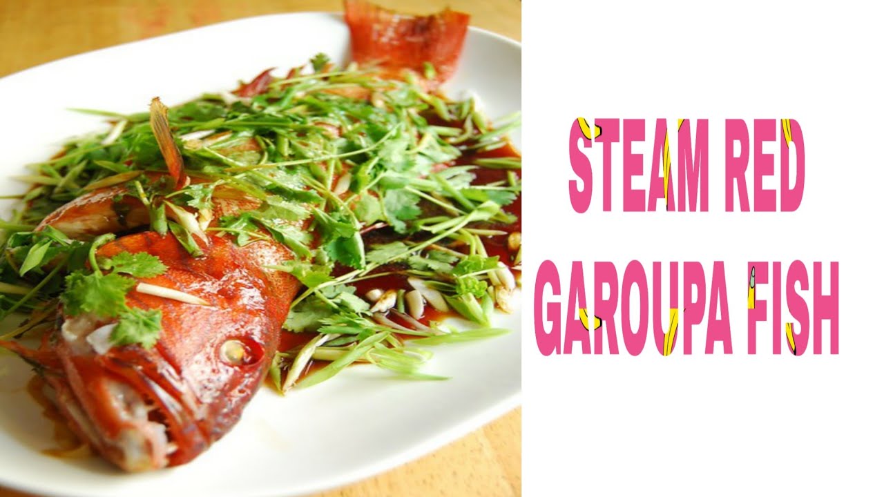 STEAM GAROUPA FISH - YouTube