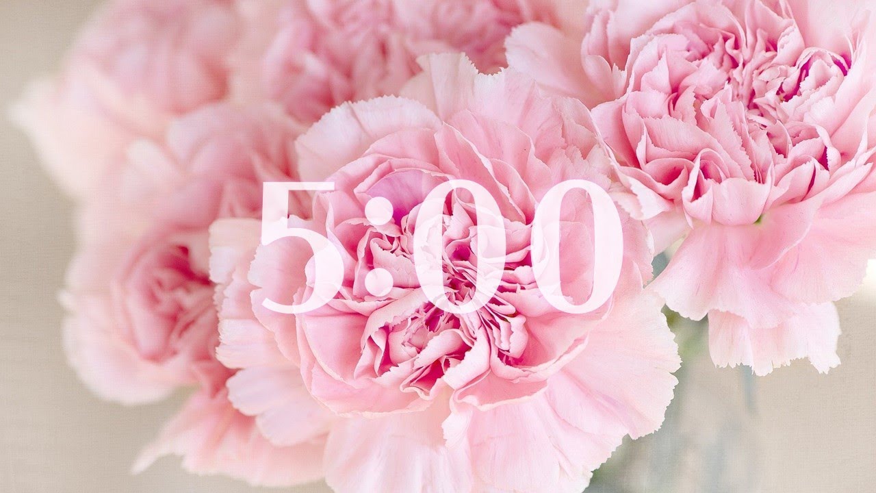 5 Minute Timer - Pink Flowers - YouTube