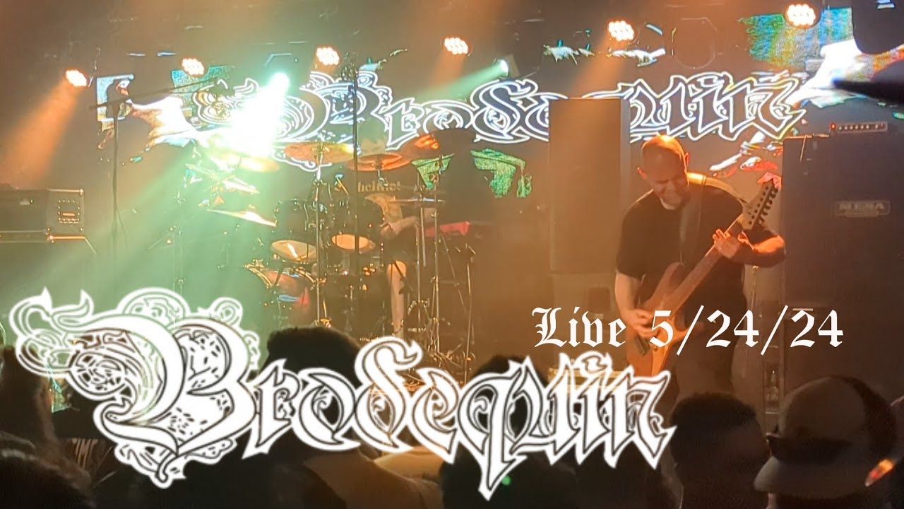 Brodequin - Live 5/24/24 - YouTube