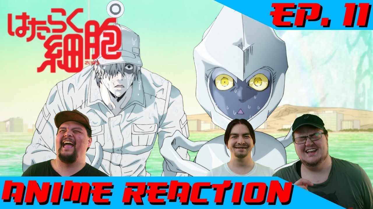 STAY HYDRATED, KIDS! | Anime Reaction: Hataraku Saibou Ep. 11 - YouTube