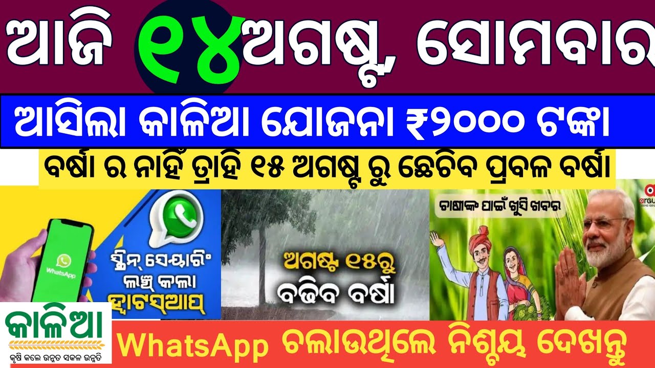 14 August 2023 Ajira Odia Niuj / Odia News / Heavy Rain In Odisha ...