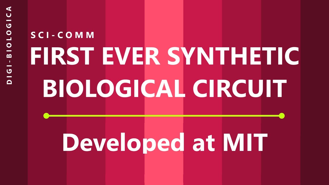 First Ever Rapid Synthetic Biological Circuit🔥| Developed at MIT🔬| # ...