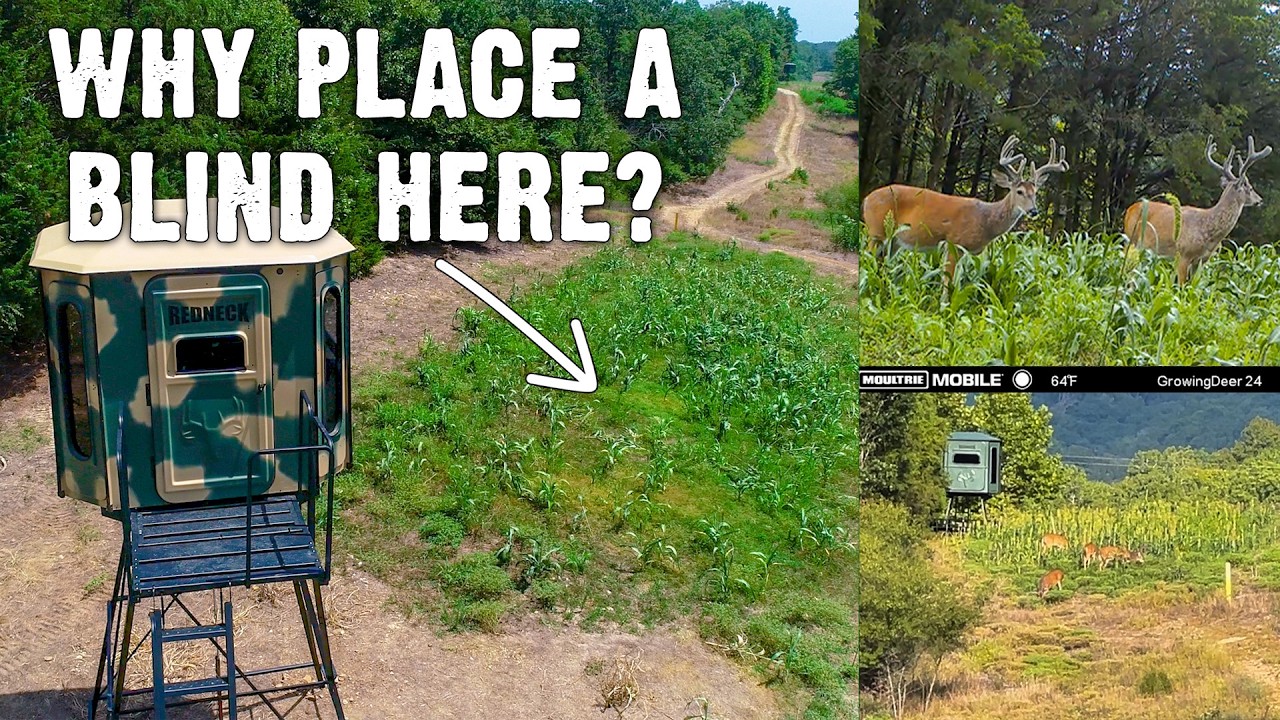 Perfect Hunting Spot: Placing Our New Redneck Blind - YouTube