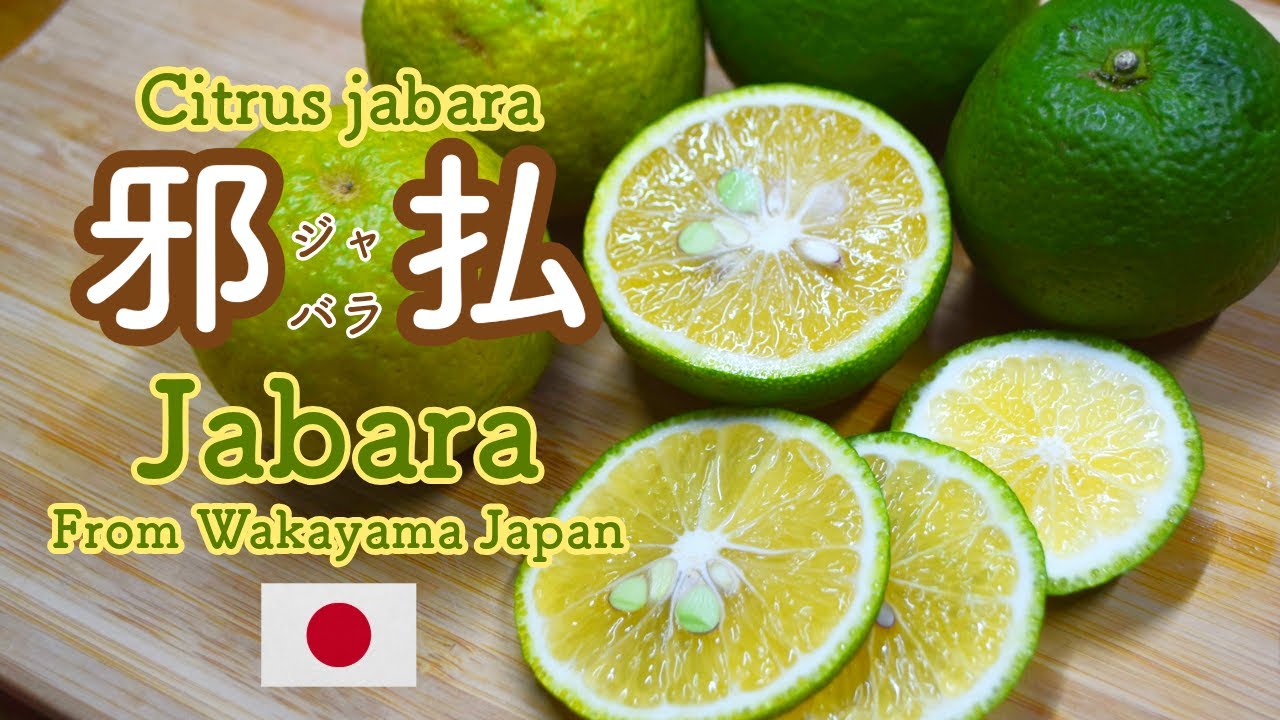 世界の果物を食べる！【日本和歌山編】 ジャバラ！Jabara Citrus Yabara from Wakayama Japan - YouTube