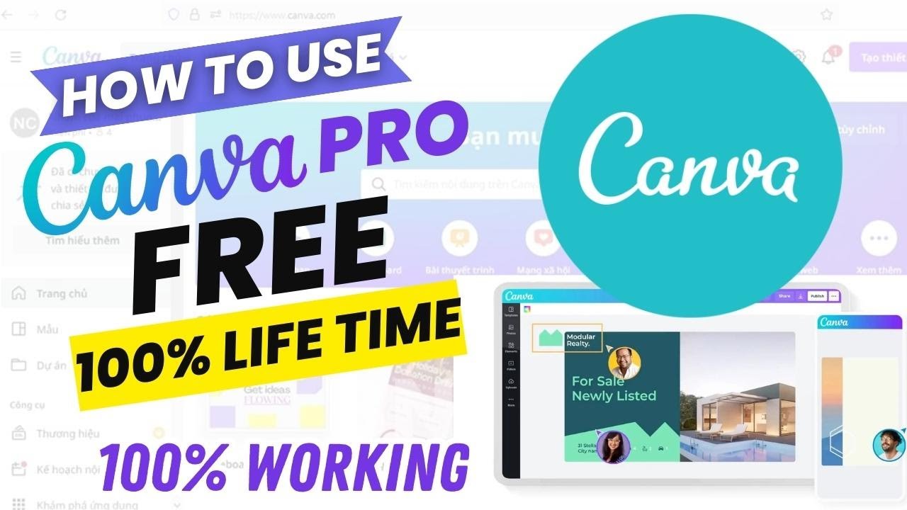 Join Canva Team Free for Life Time | How To Use Canva All Features ...