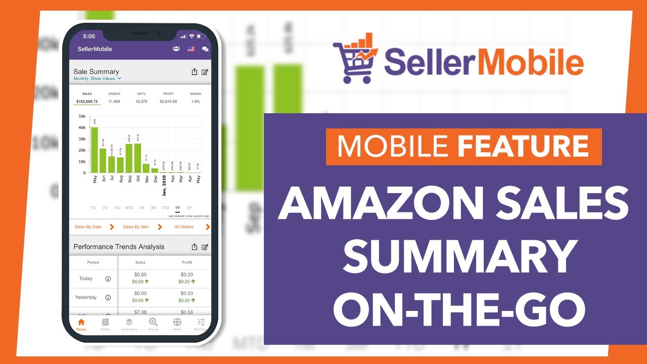 Amazon Sales Summary at your Fingertips | Profit Analysis ...