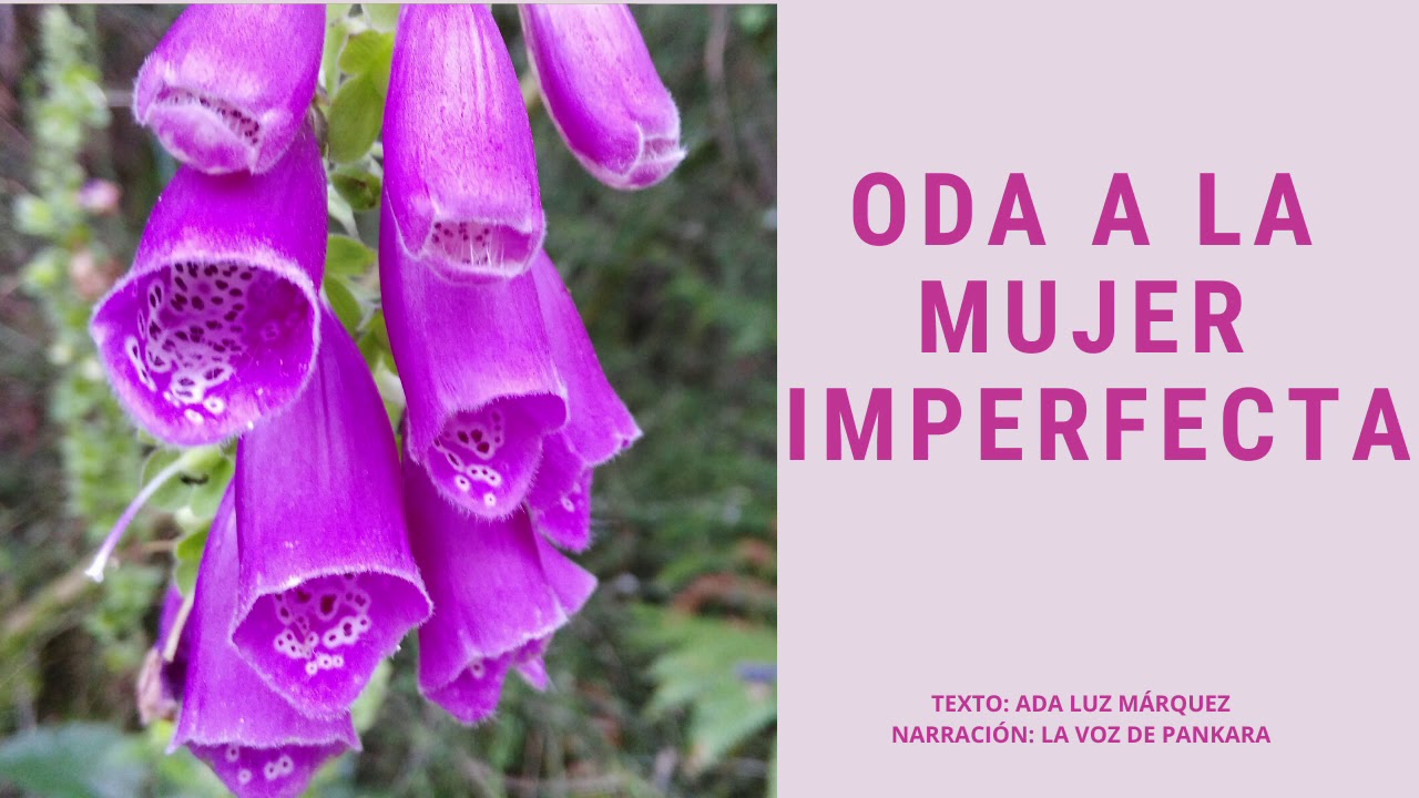 ODA A LA MUJER IMPERFECTA - YouTube