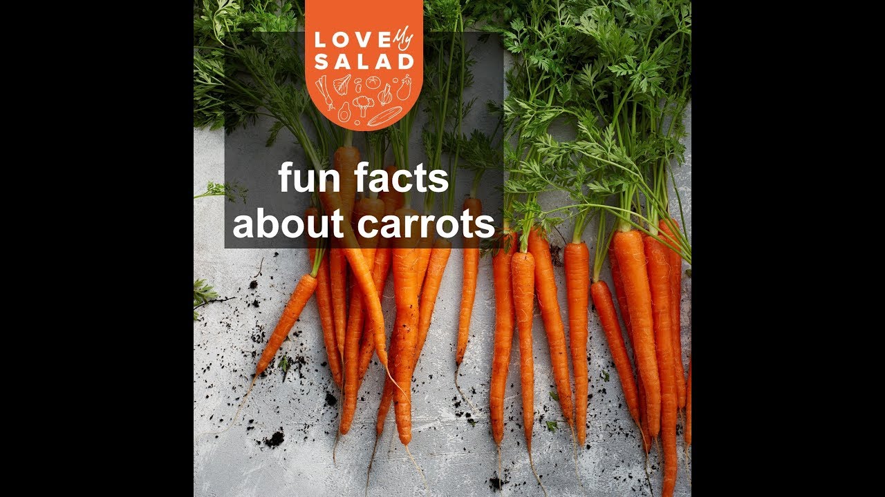 Carrot fun facts - YouTube