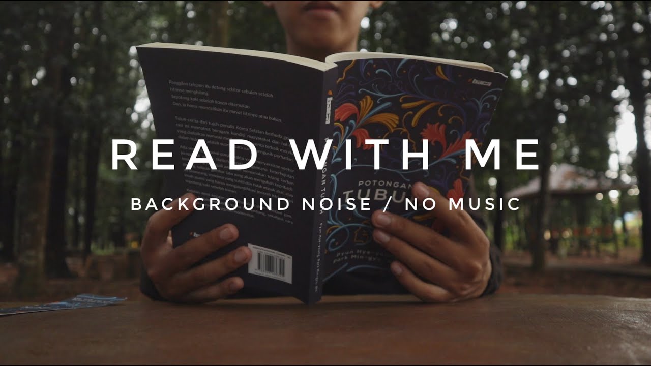 30 mins ⏱️ read with me 📚 background noise/no music 🌲 - YouTube
