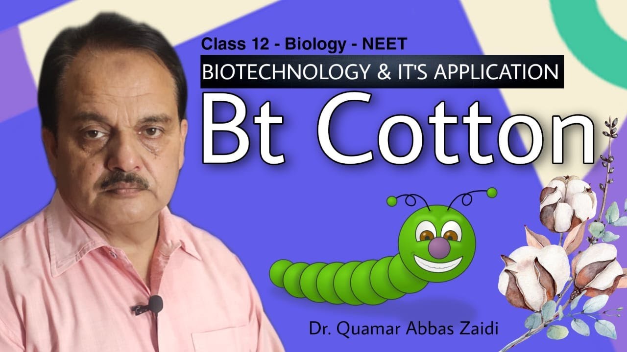 Bt Cotton | Bt Cotton Biotechnology | Biotechnology and its Application ...