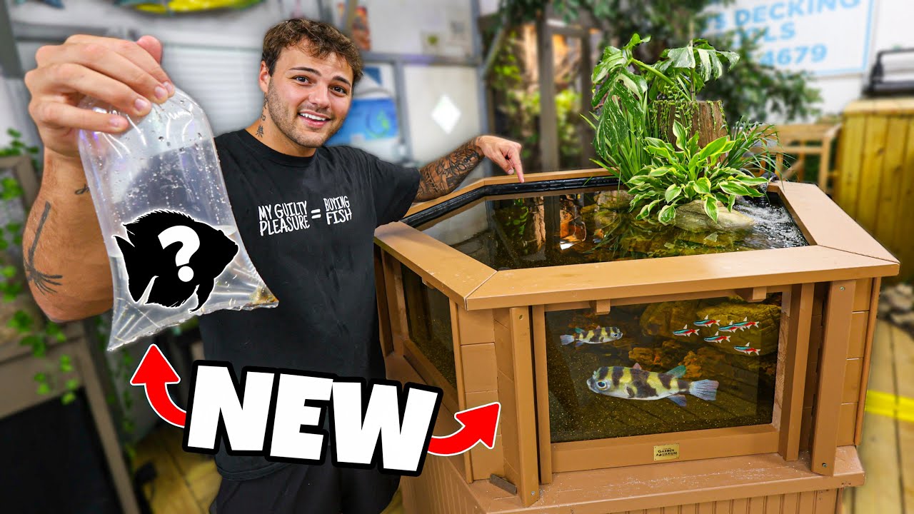 Build Your Own Fish Build Your Own Saltwater Fish Embroidery Set Joy