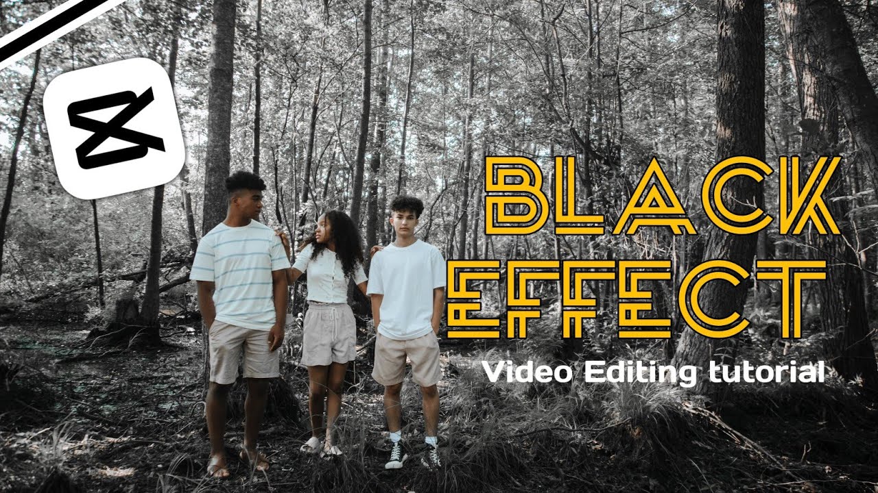 Black effect video editing tutorial | capcut video editing tutorial #capcutedit #blackandwhite ...