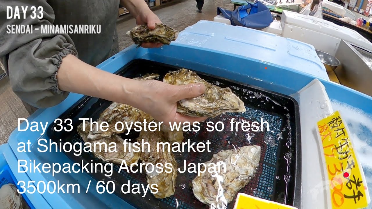 Day 33 The oyster was so fresh at Shiogama fish market Bikepacking ...