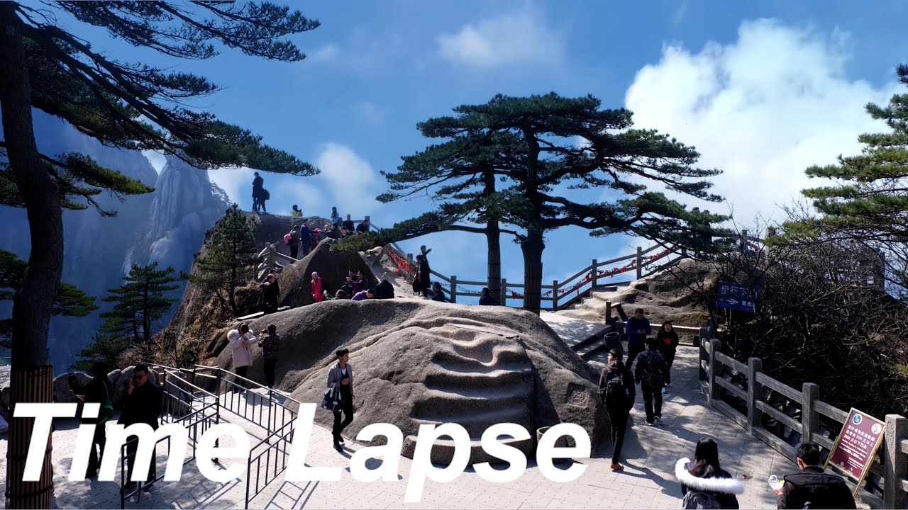 a70225 중국 황산 소나무 타임랩스 4K Chinese Huangshan Pine Tree Time Lapse - YouTube