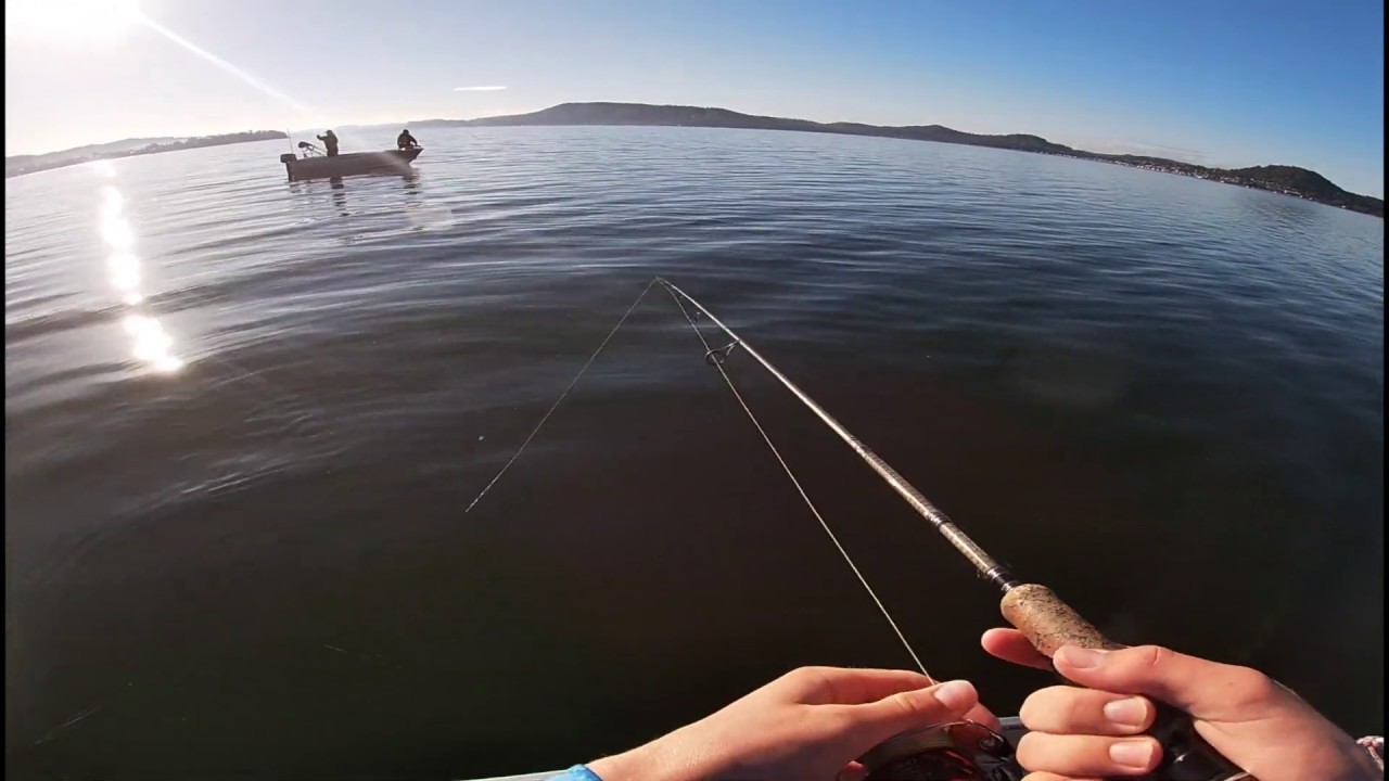 Fishing with vibes - YouTube