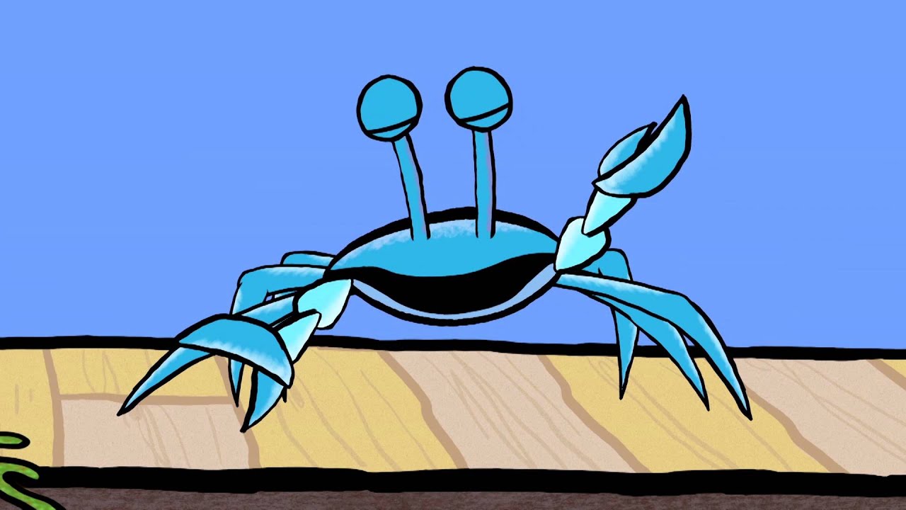 All About... Blue Claw the Crab - YouTube