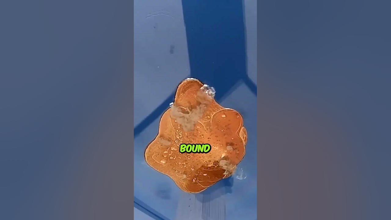 Lava Vs Glass Youtube