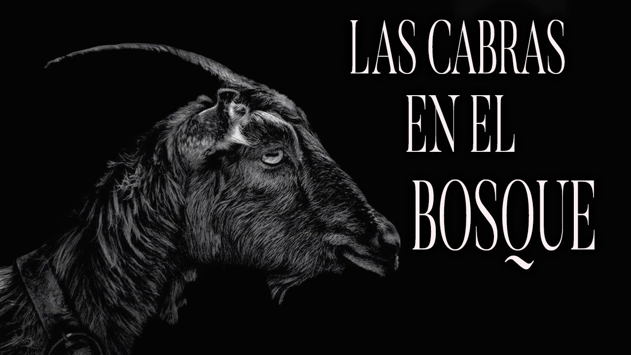 Las Cabras En El Bosque Historias De Terror - Voces De La Noche - YouTube