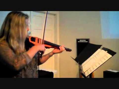 Air on Rag Bhimpalasi by Michael Braudy performed by Eva Ingolf