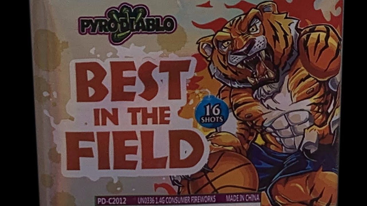 BEST IN THE FIELD 16 SHOT 200 GRAM FIREWORK CAKE BY PYRO DIABLO ...