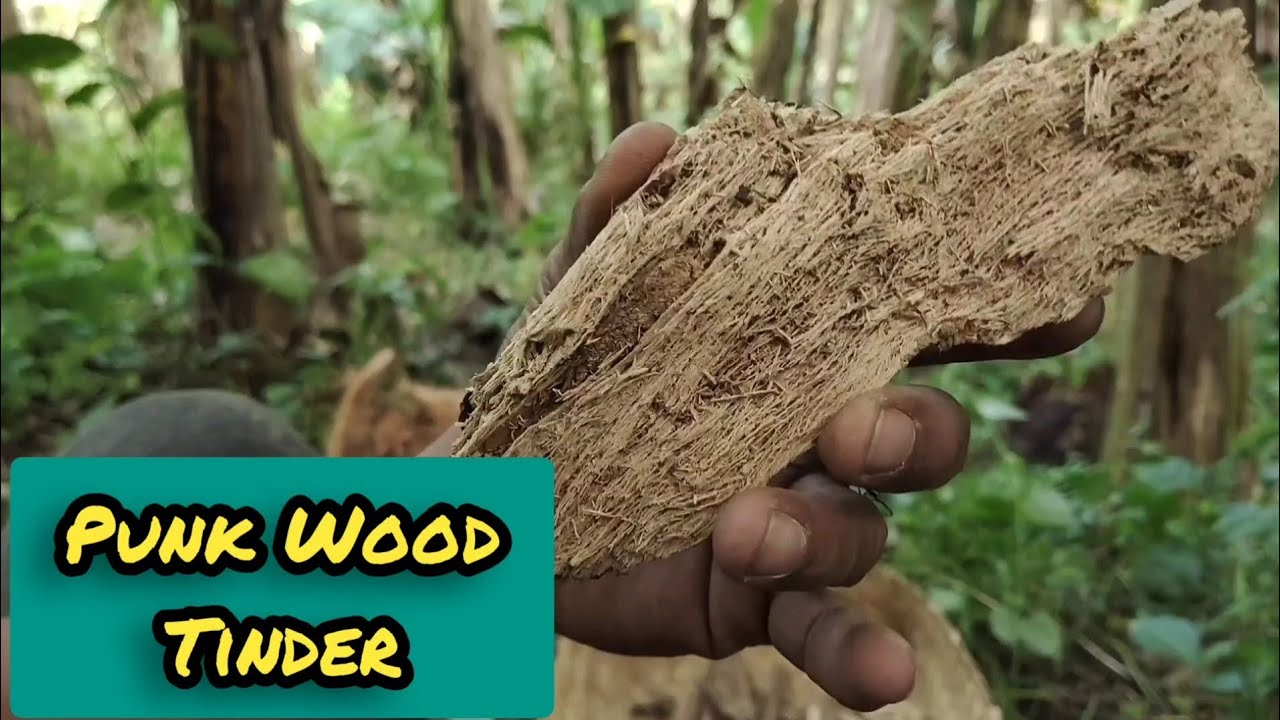 Starting a fire using Punk wood || FLINT AND STEEL. - YouTube