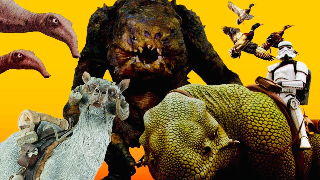 Star Wars Mounts - Some of the Strangest Creatures of the Star Wars ...