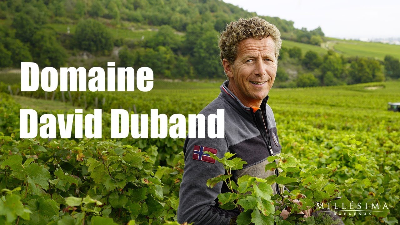 DOMAINE DAVID DUBAND - BOURGOGNE - MILLESIMA - YouTube