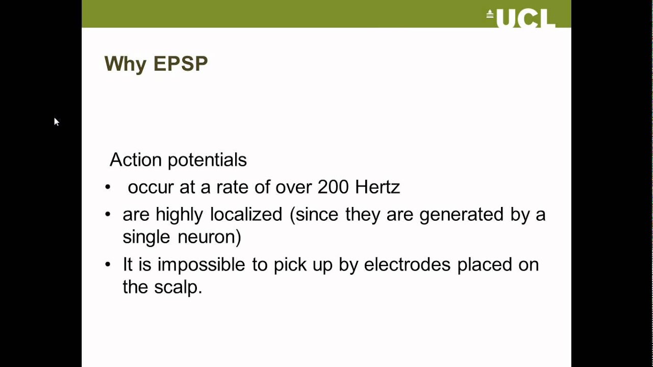 EEG and Action Potentials - YouTube