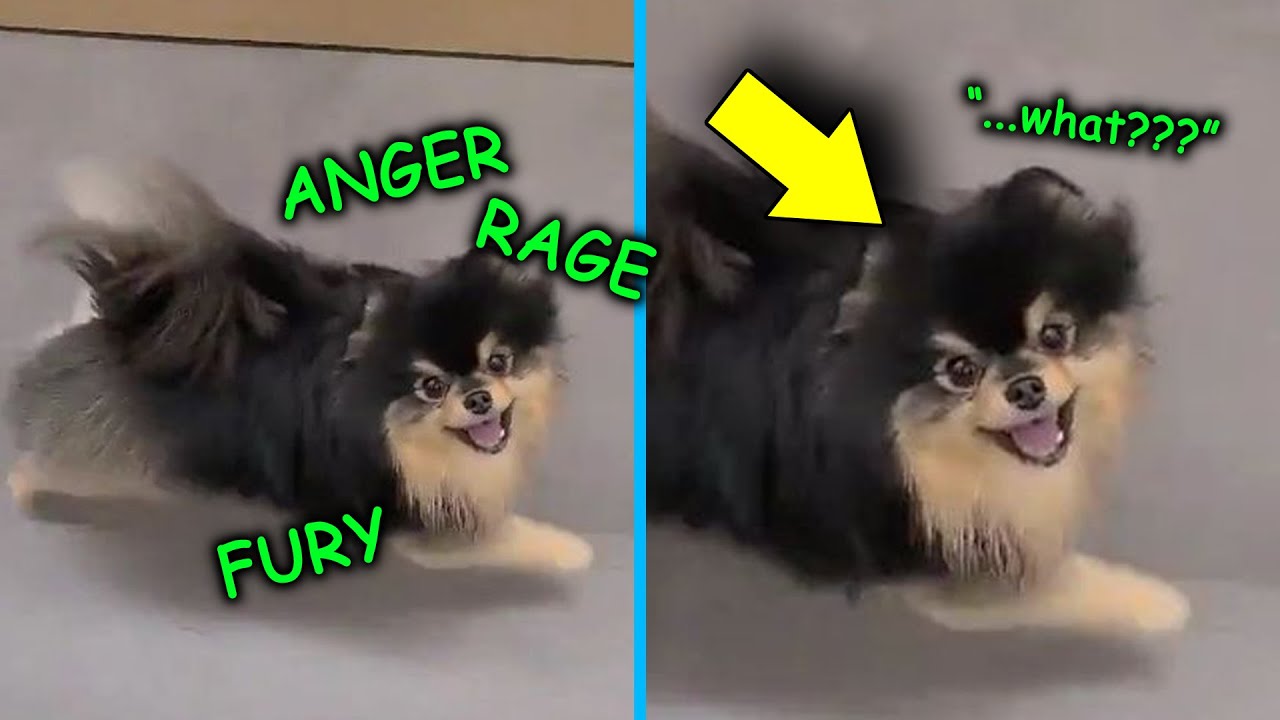 Yeontan hates BTS 🤭 - YouTube