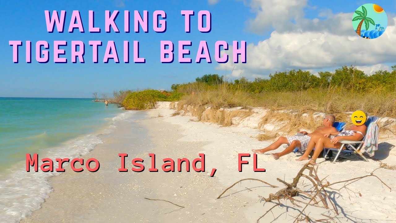 Tigertail Beach Walking Tour - Marco Island, Florida - YouTube