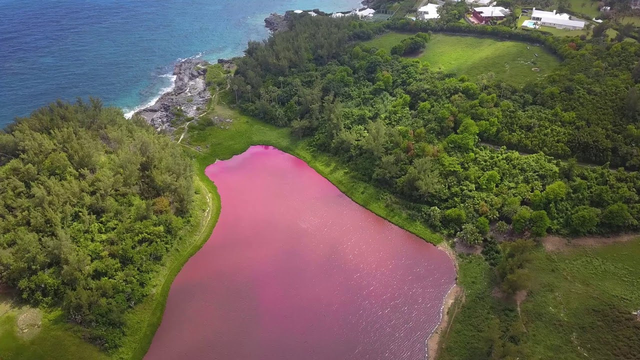 SPITTAL POND Bermuda - YouTube