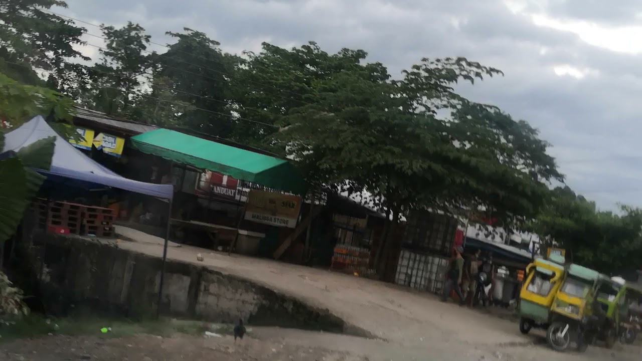 DEL MONTE TALACOGON AGUSAN DEL SUR - YouTube