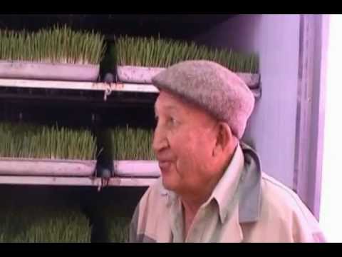 feedGROW - Melkboer praat oor die sisteem / Milk farmer talks about the ...