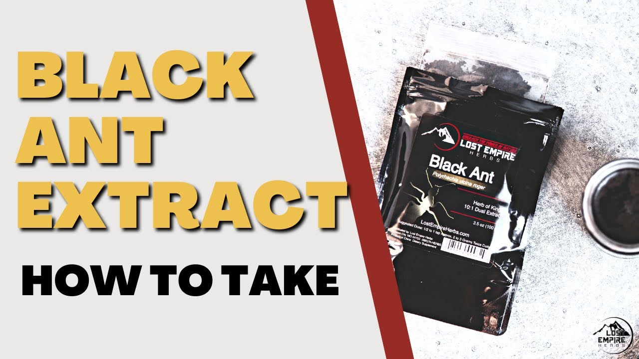 How to Take Black Ant Extract [actionable] - YouTube