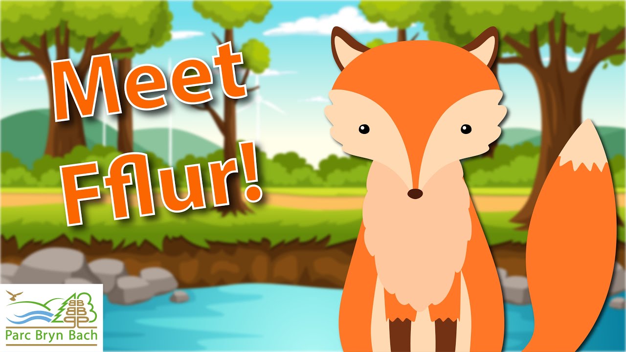 Fflur the Fox 🦊 | Parc Bryn Bach 🦆 - YouTube