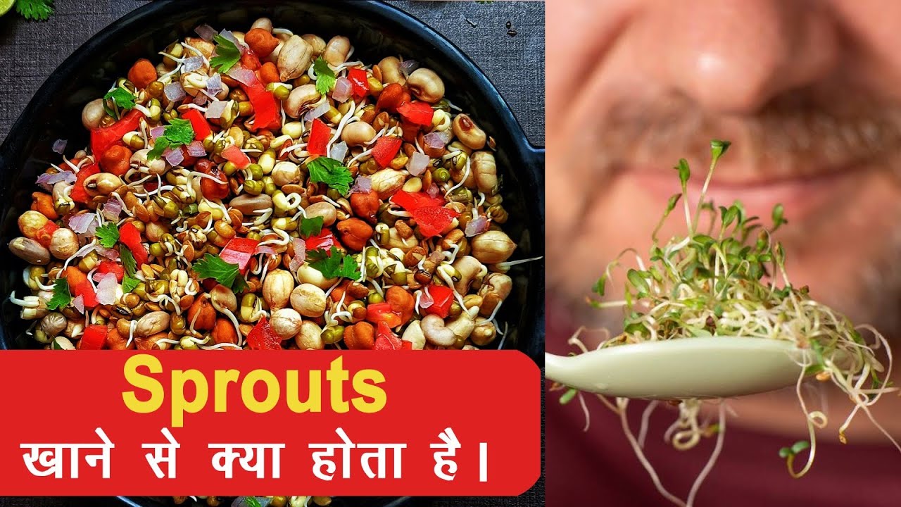 Sprouts Khane ke Fayde| Sprouts Benefits| Sprouts Benefits for Hair ...