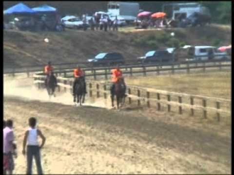 rahvan at şifa gölcük 2010 baş atlar finali
