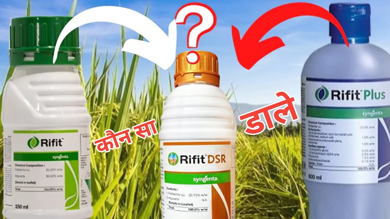 🌾इसे ज़रूर चेक करके डाले 🤔Rifit या Rifit Plus😳 - YouTube