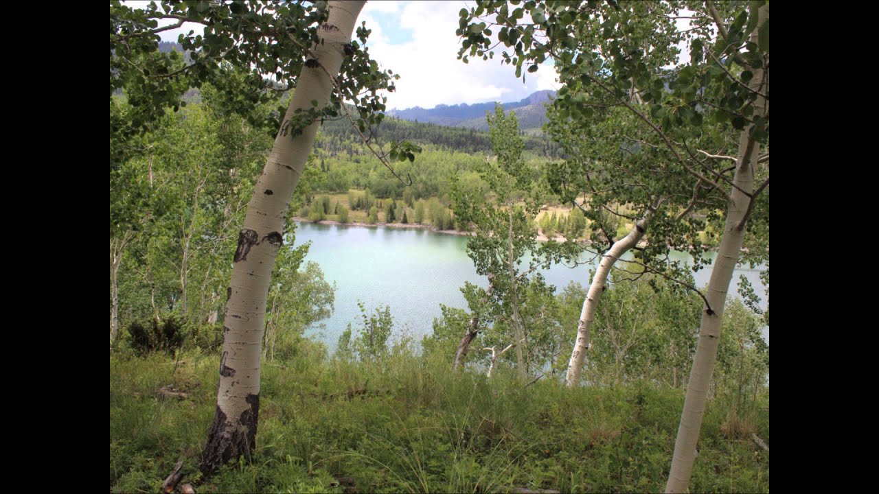 Silver Jack Shoreline - YouTube