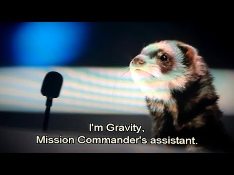 gravity contacts the Buddies scene