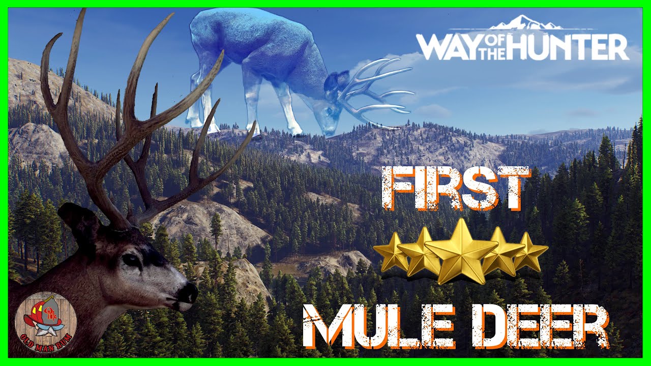 First 5 Star Mule Deer, Way of the Hunter, PS5 (4K) - YouTube