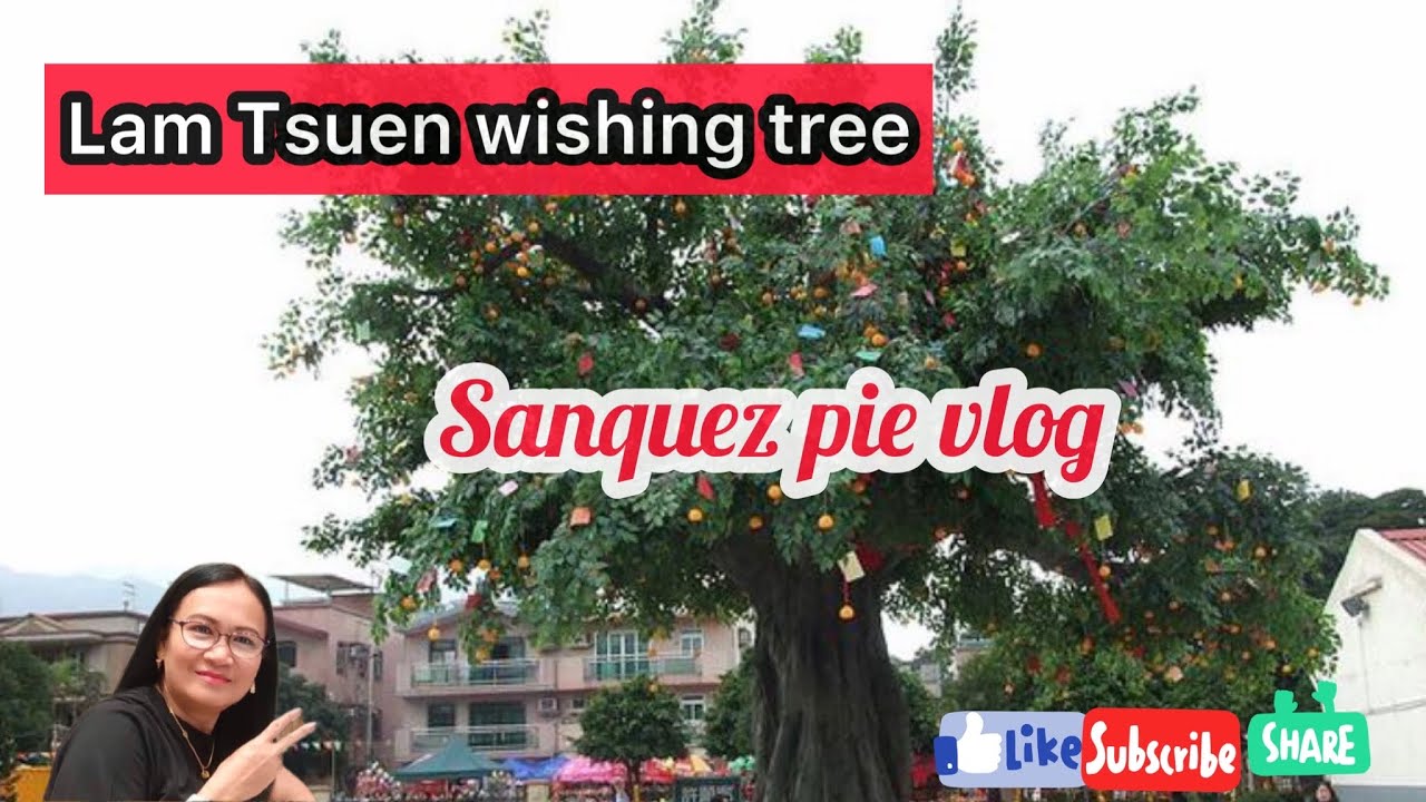 Lam Tsuen Wishing Tree HK - YouTube