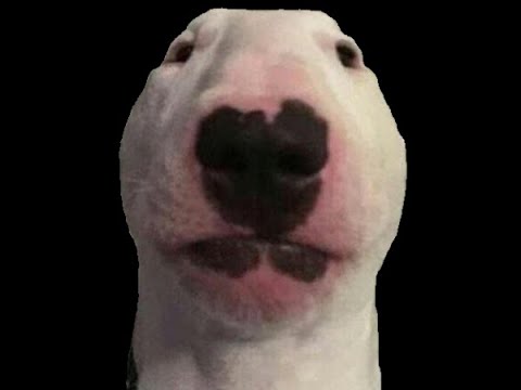 my power grows - YouTube