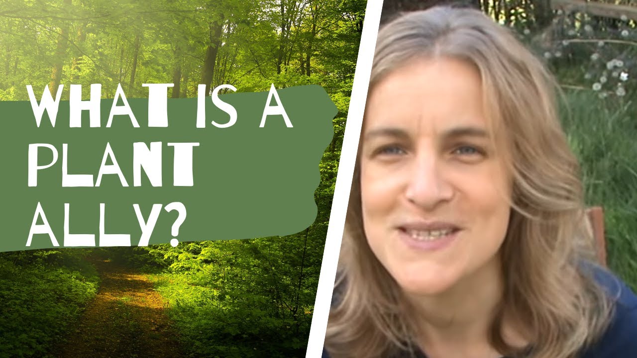 What's a Plant Ally? - YouTube
