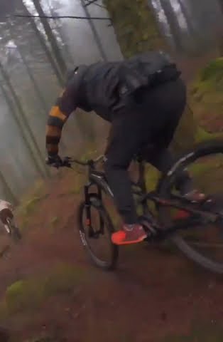 Misty Triscombe #mtb #mountainbikestunt #mtb #ytshort #downhill # ...