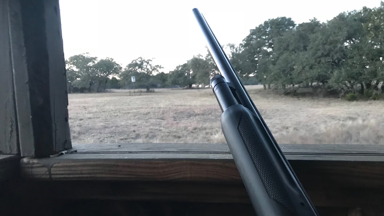 ED Bassing Introduction - YouTube